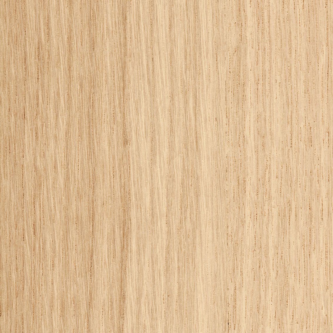 Panel Roble claro - Bioply | Oberflex