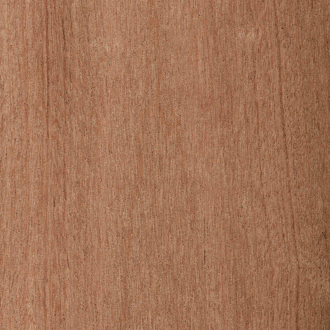 Panneau Acajou - Brut d’Ober | Oberflex