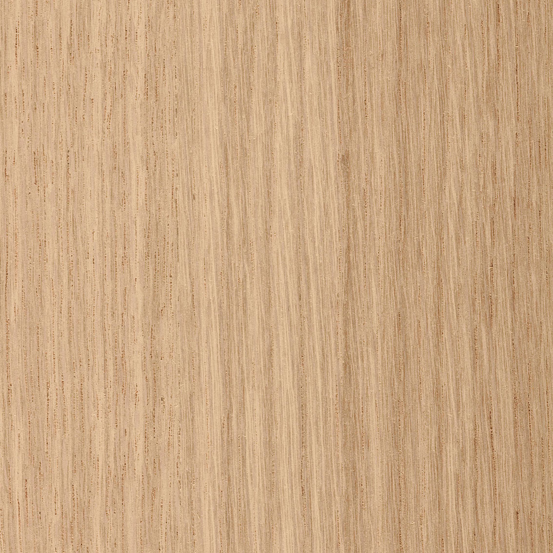 Texture De Bois Brut 3 647 Texture Bois Brut High Res Illustrations