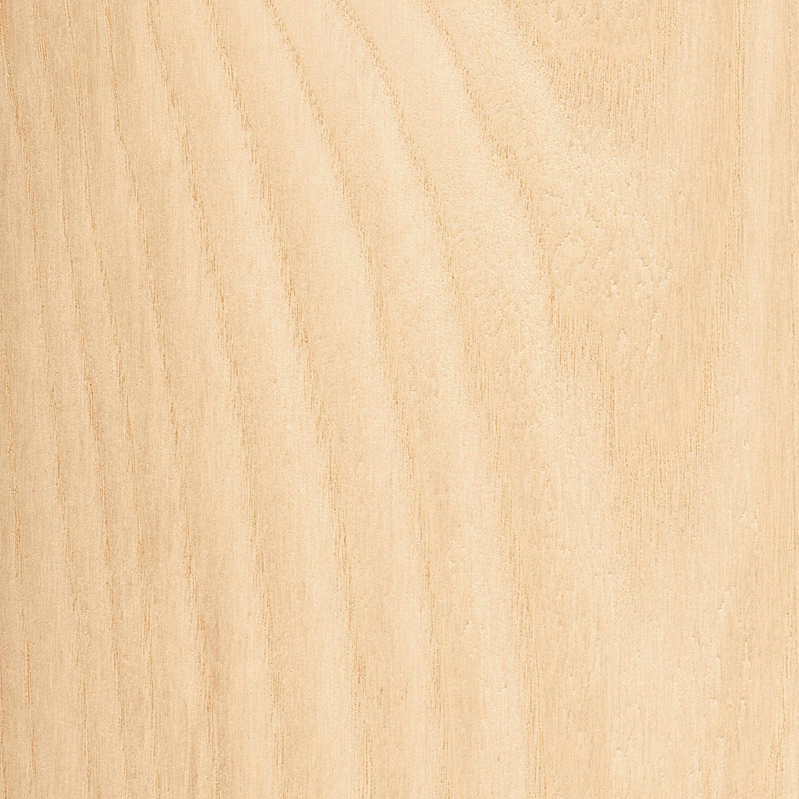 Panel Light Ash - Brut d’Ober | Oberflex