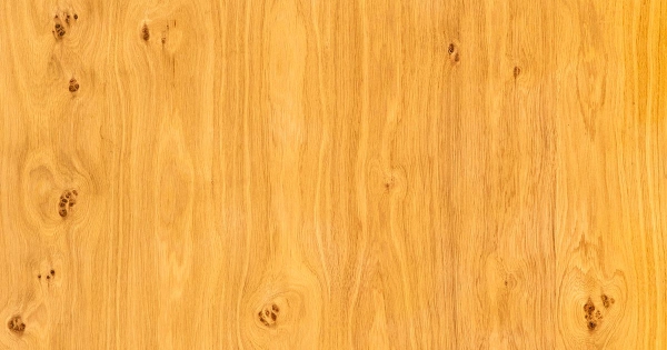 Panel Pippy Oak - Gold - Crack Oak and Pippy Oak | Oberflex