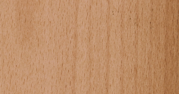 Panel Steamed Beech - Oberflex wood veneers | Oberflex