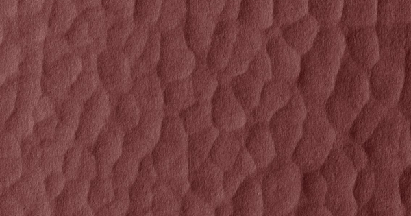 Panel Burgundy 012 - Hammered | Oberflex